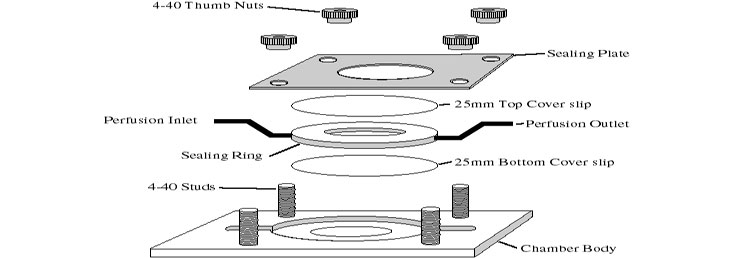 Perfusion Chambers for Imaging and Recording in Neurons