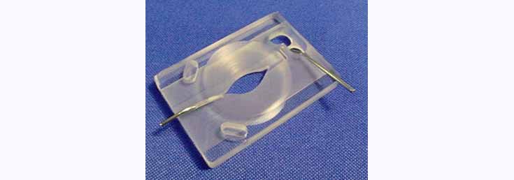 Perfusion Chambers for Imaging and Recording in Neurons