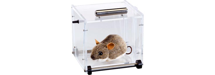 BioMedical Instruments Pipettes